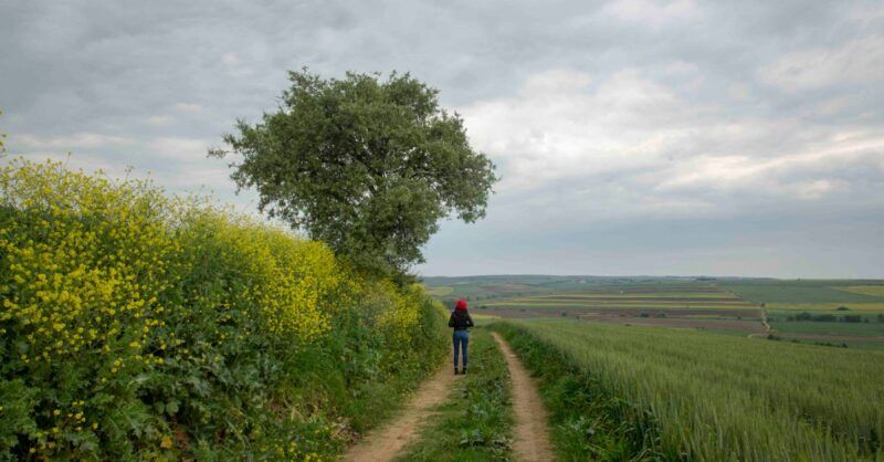 Jakobsweg allein als Frau: Tipps für eine sichere Vorbereitung | WeRoad